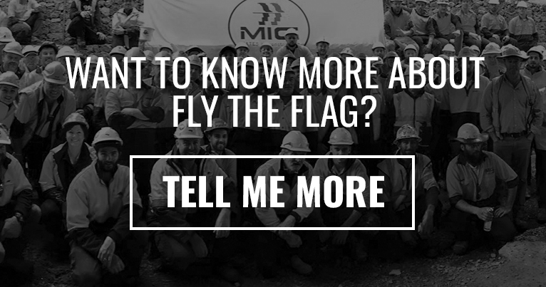 Fly the Flag
